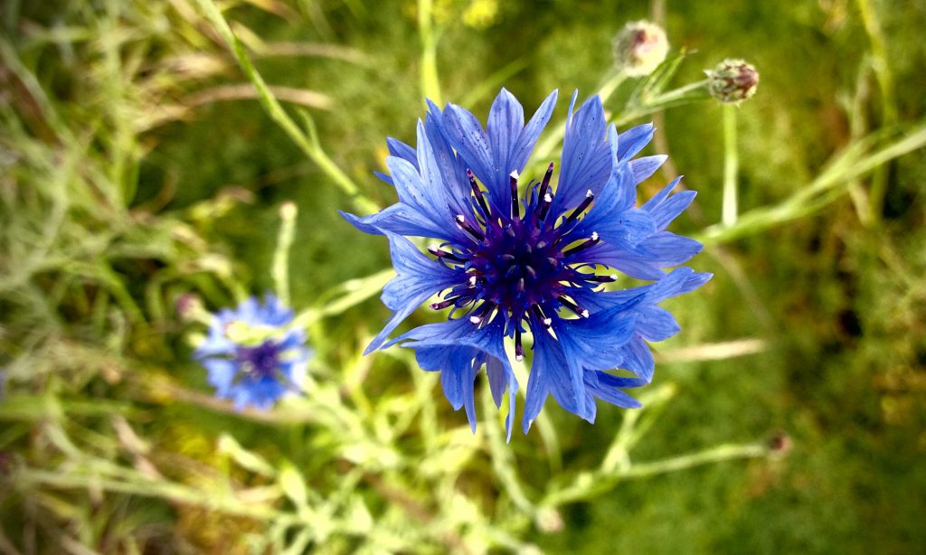 Debugging Complex Ai Solutions