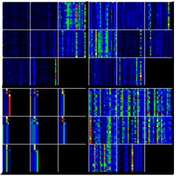 Visually Walking Through a Transformer Model