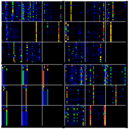 Visually Walking Through a Transformer Model
